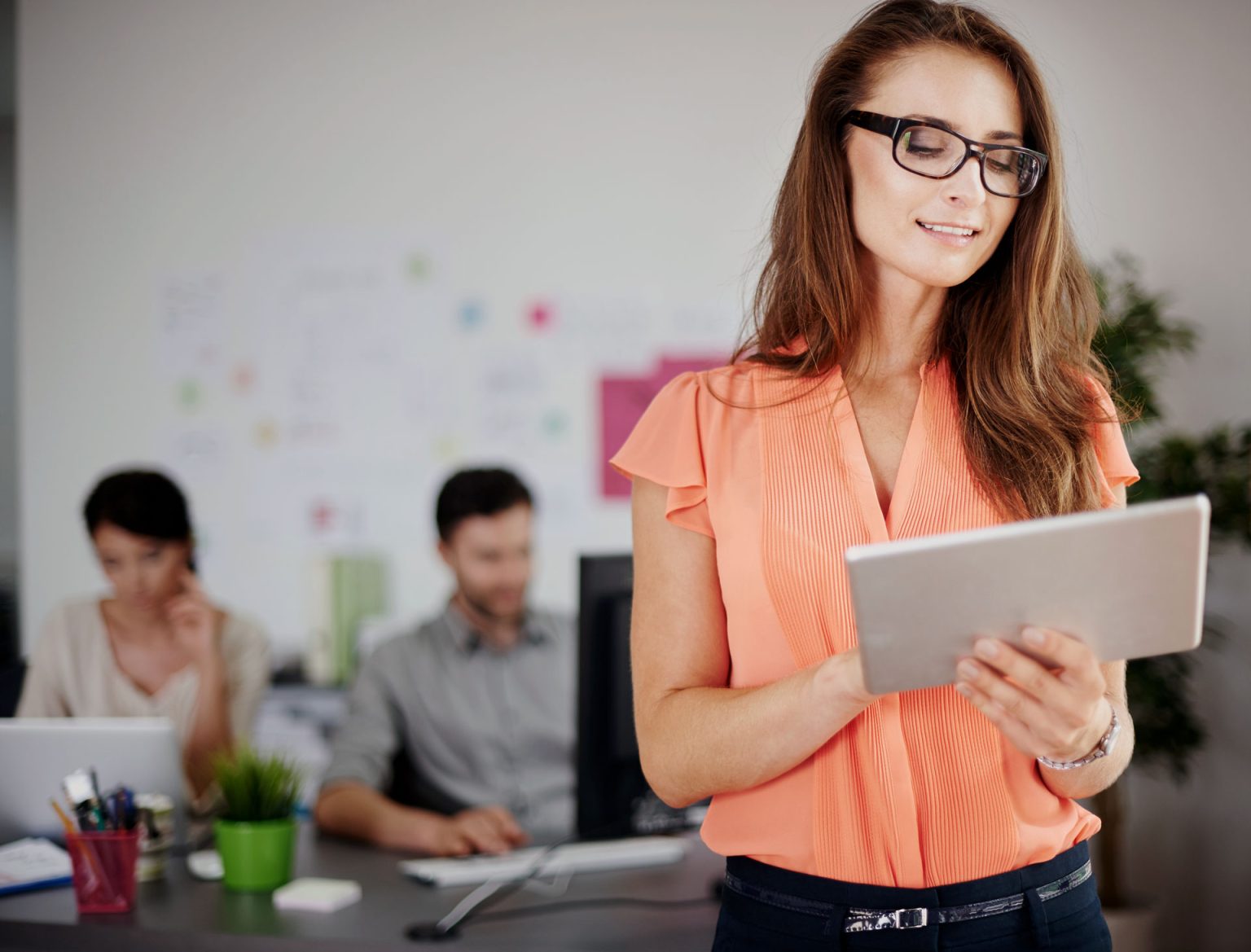 Oferta Educativa – Campus Virtual CEC – UAM :: Cursos SDPC